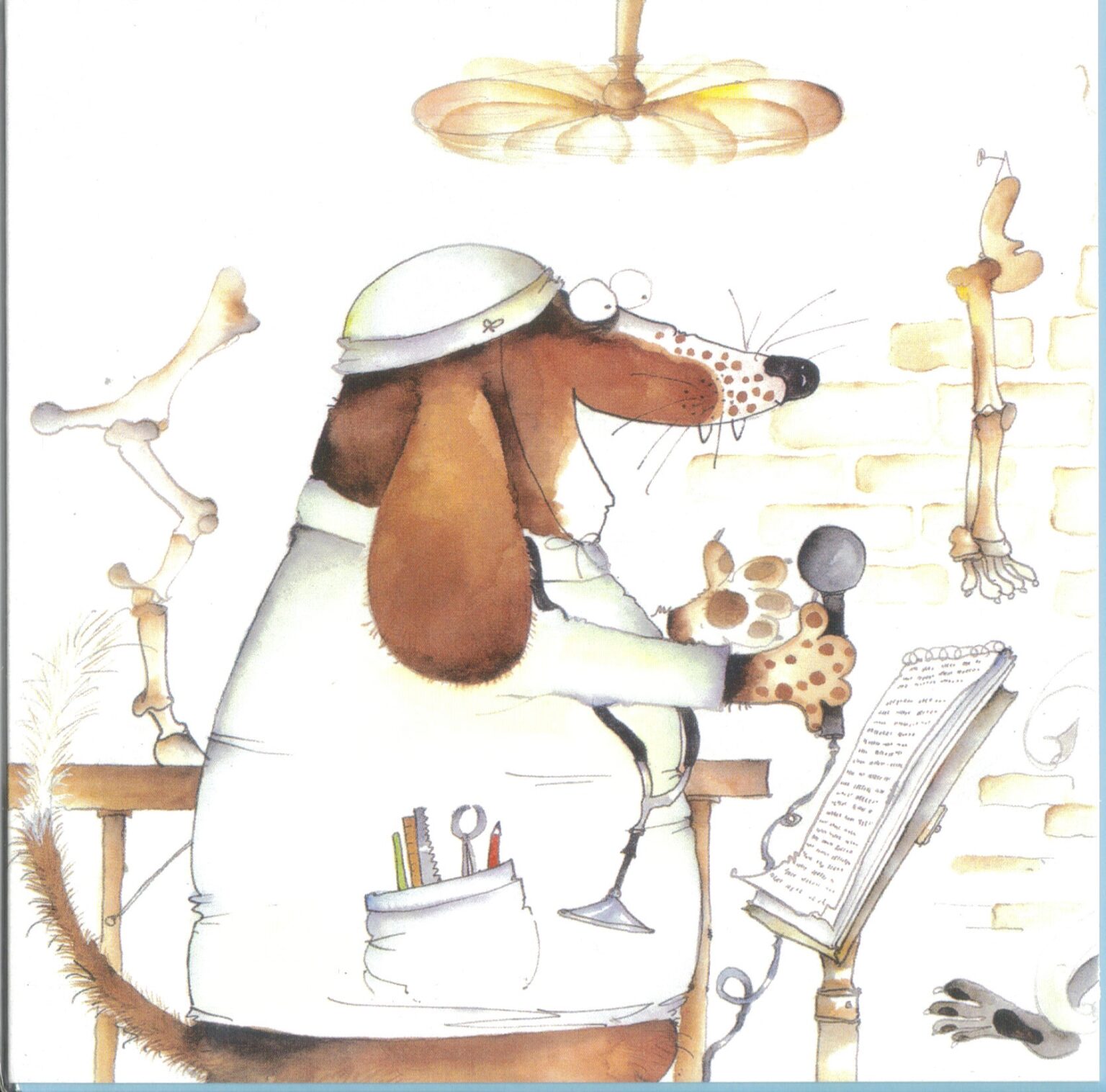 Dr.Dog | Babette Cole